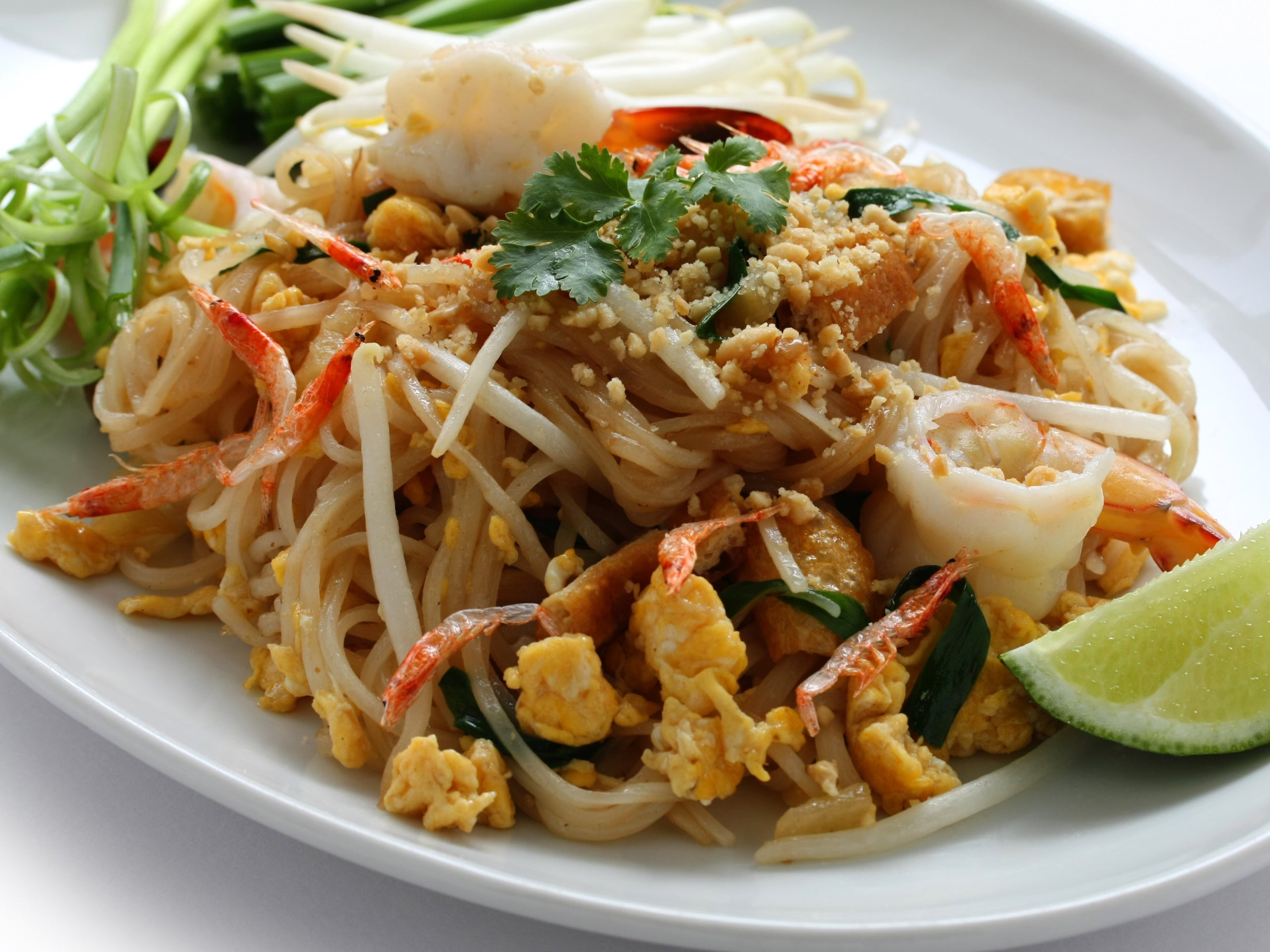 Phad Thai | Noodle House